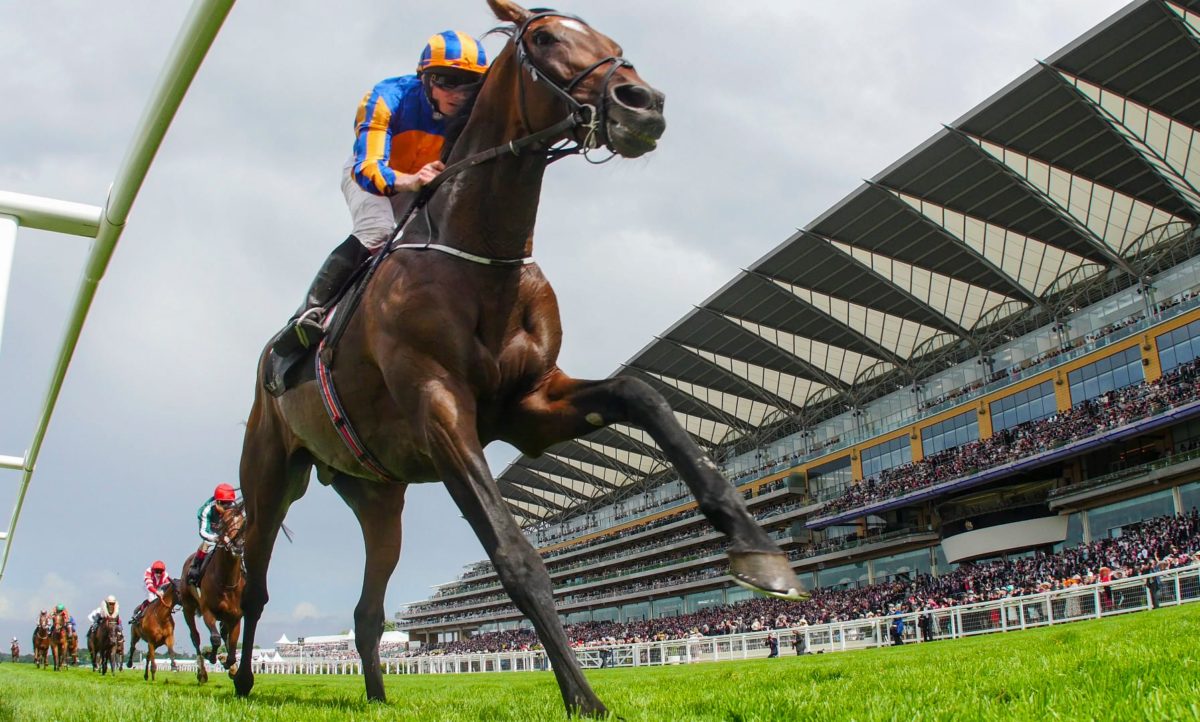 🏇 Horse Racing | British Champions Day | Spectator preview