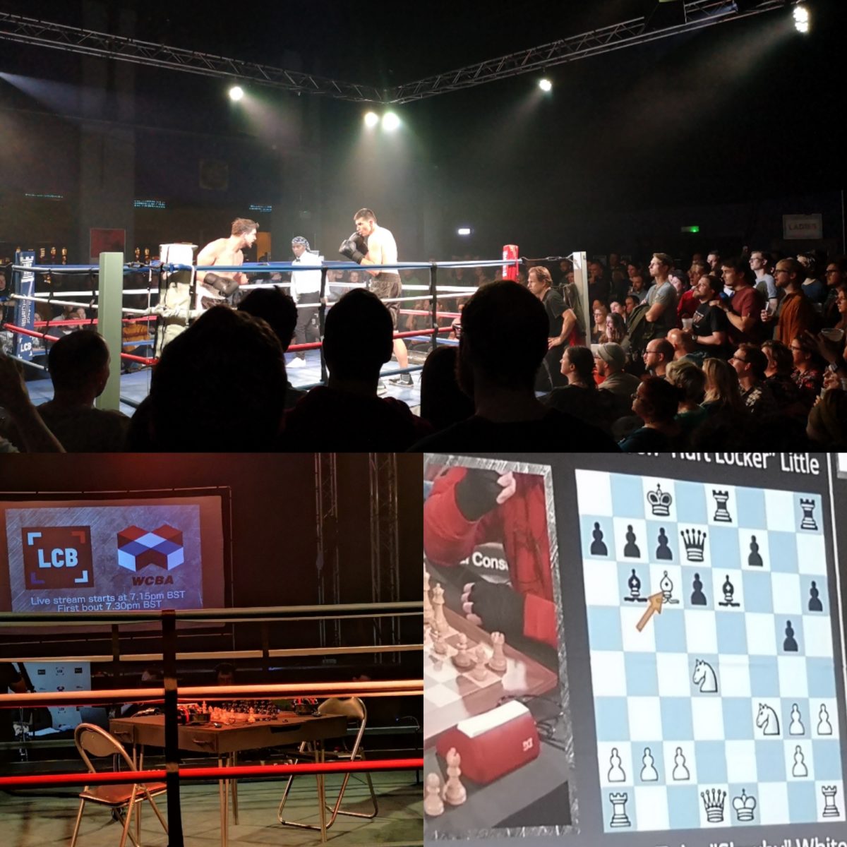 London Chessboxing | ♟️🥊 The Dome | Latest show spectator preview