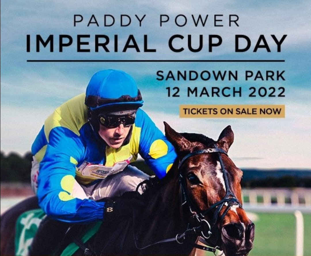 Imperial Cup Day | 🏇 Horse Racing at Sandown Park | Spectator info