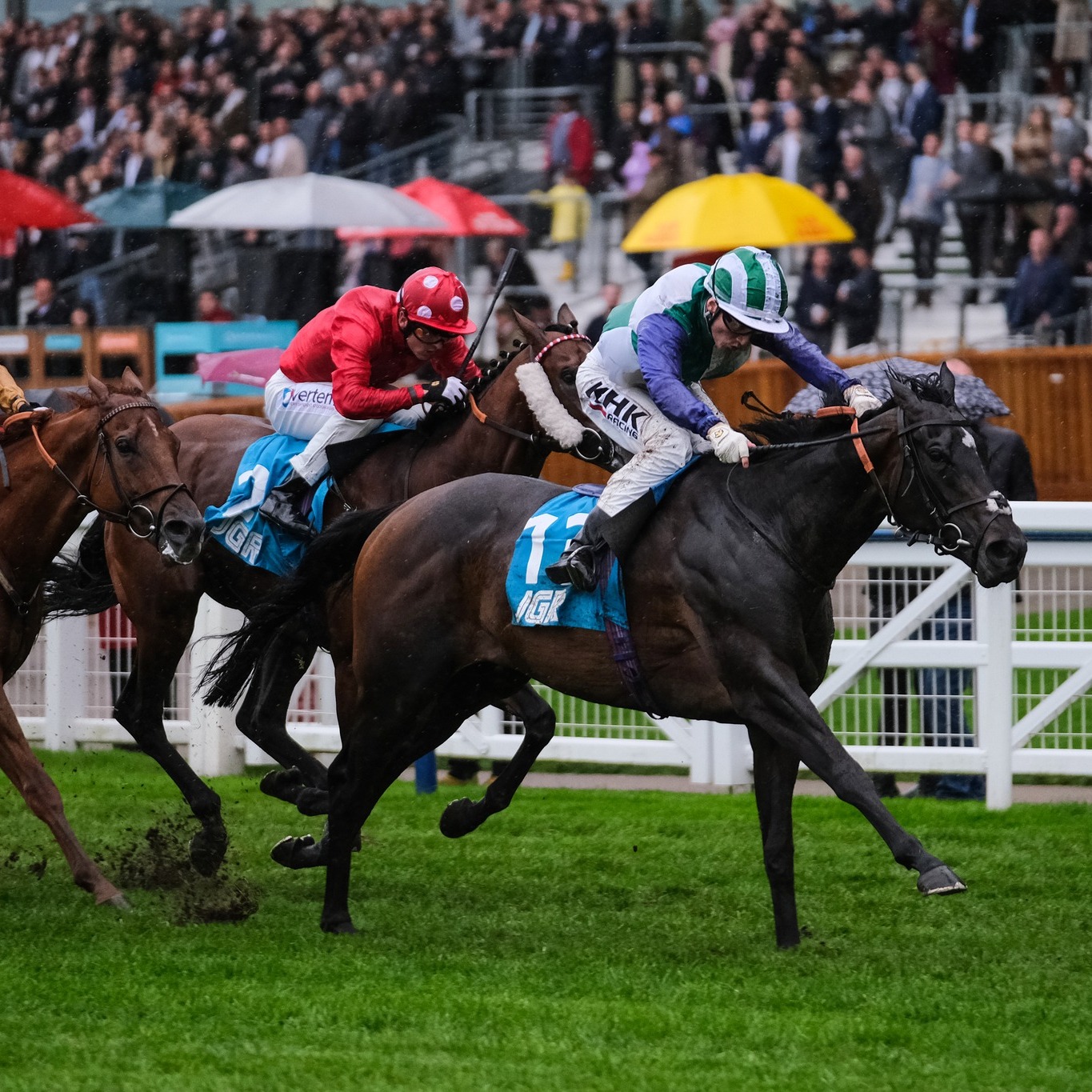 November Racing Weekend | 🏇 Racing at Ascot | Spectator info